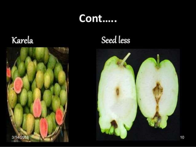 Production Technology of Guava | PPTX