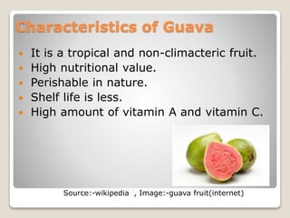 Guava | PPT