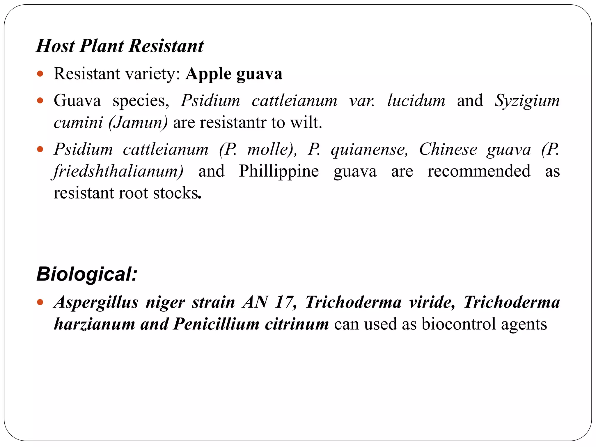 Diseases of Guava | PPTX