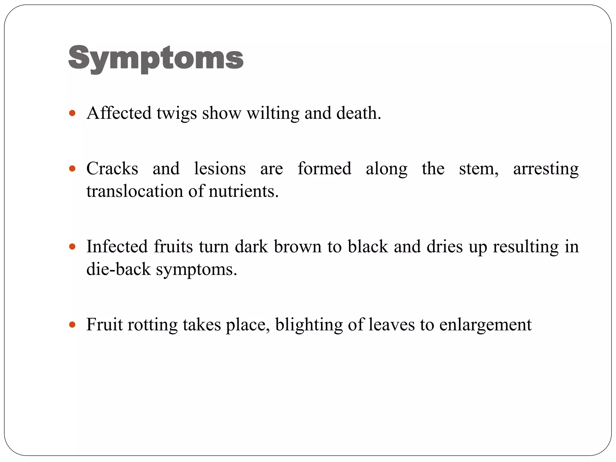 Diseases of Guava | PPTX