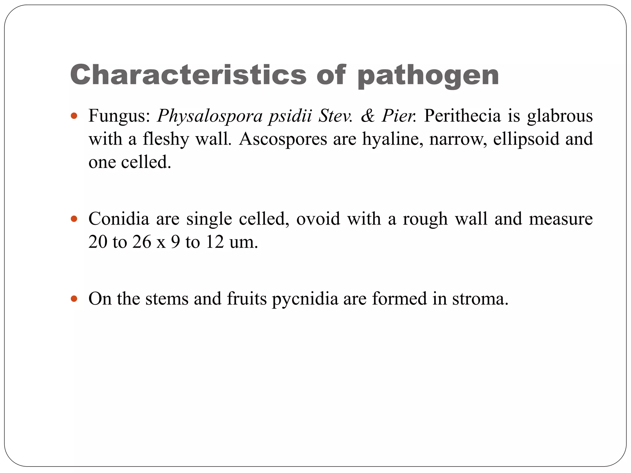 Diseases of Guava | PPTX
