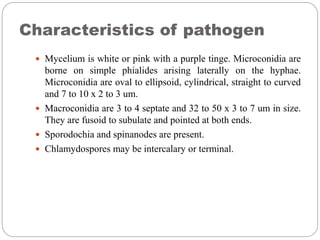 Diseases of Guava | PPTX