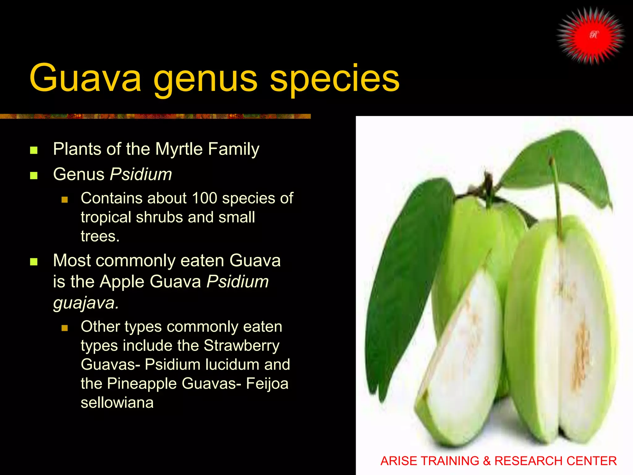 Guava medicinal value | PPSX