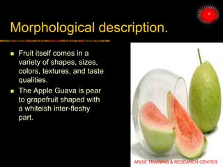 Guava medicinal value | PPSX