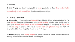 Clmate, Soil, Land Preparation, Irrigation and Other Management ...