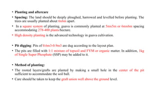 Clmate, Soil, Land Preparation, Irrigation and Other Management ...