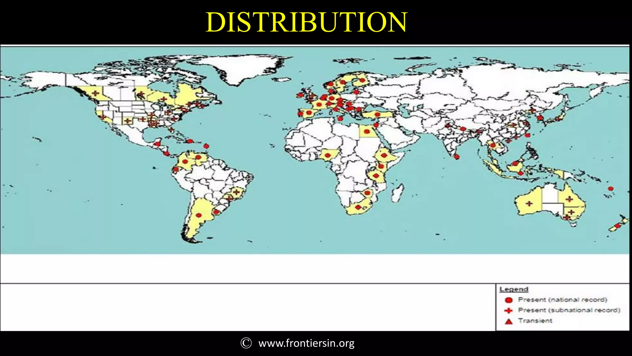 Guava anthracnose | PPTX | Agriculture | Industries