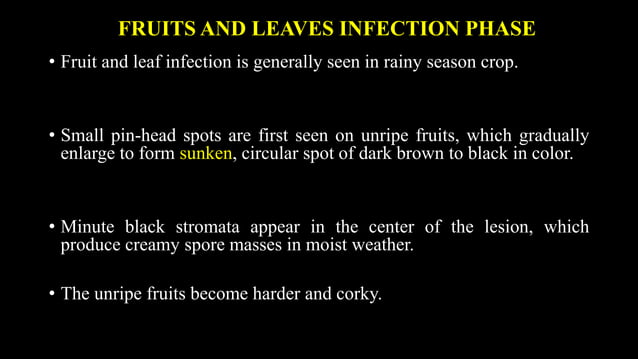 Guava anthracnose | PPTX | Agriculture | Industries