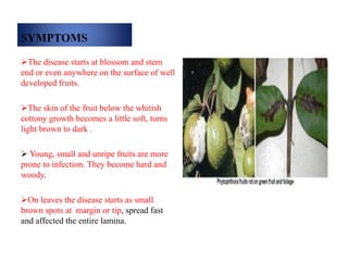 Guava diseases ppt | PPTX