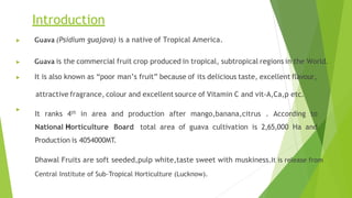Post harvest management of guava fruit crop ppt.pptx