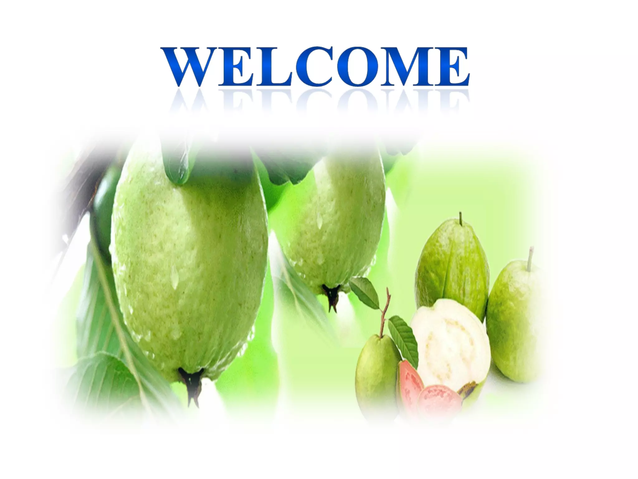 Guava production technology | PPT