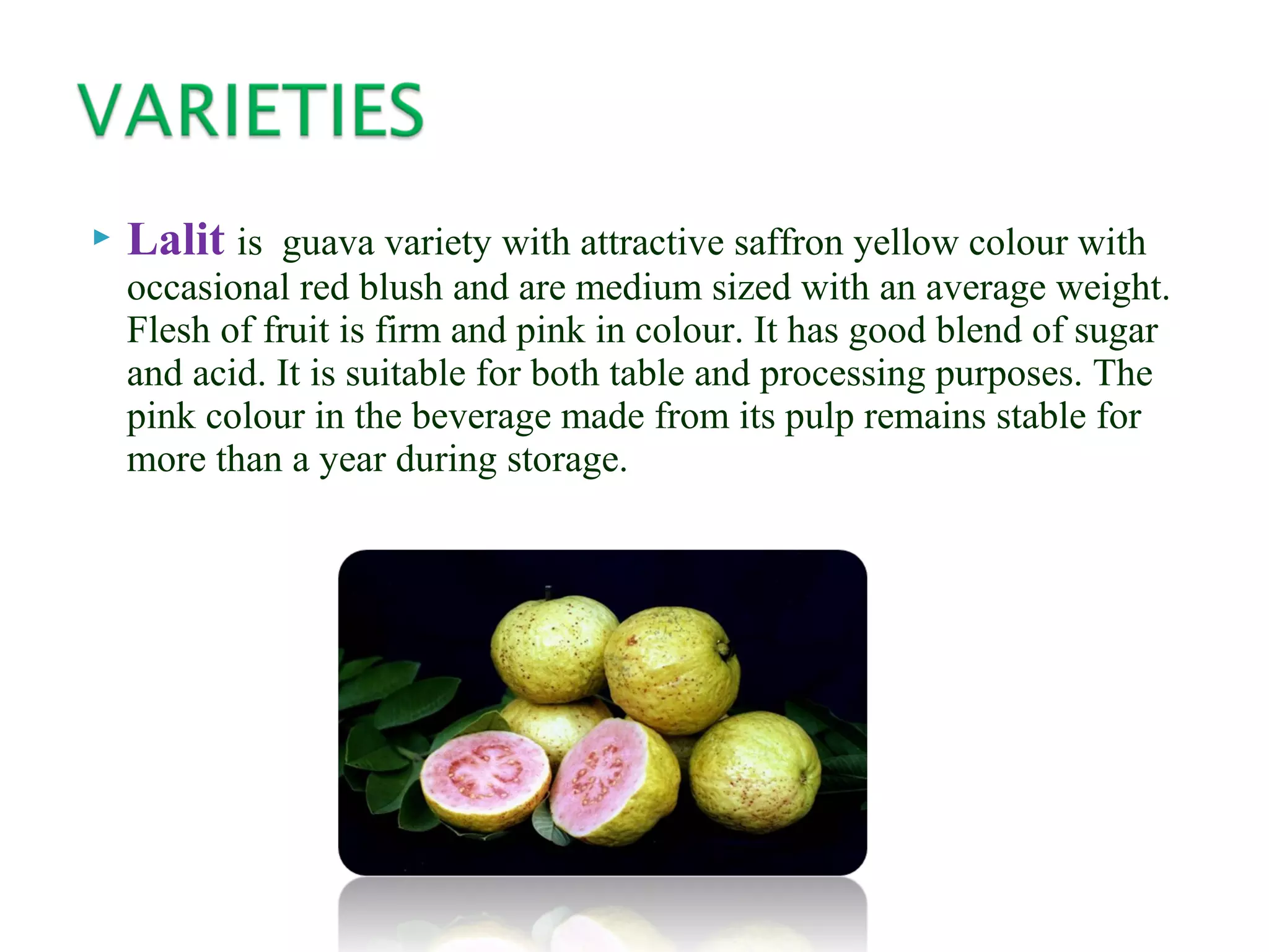 Guava production technology | PPT