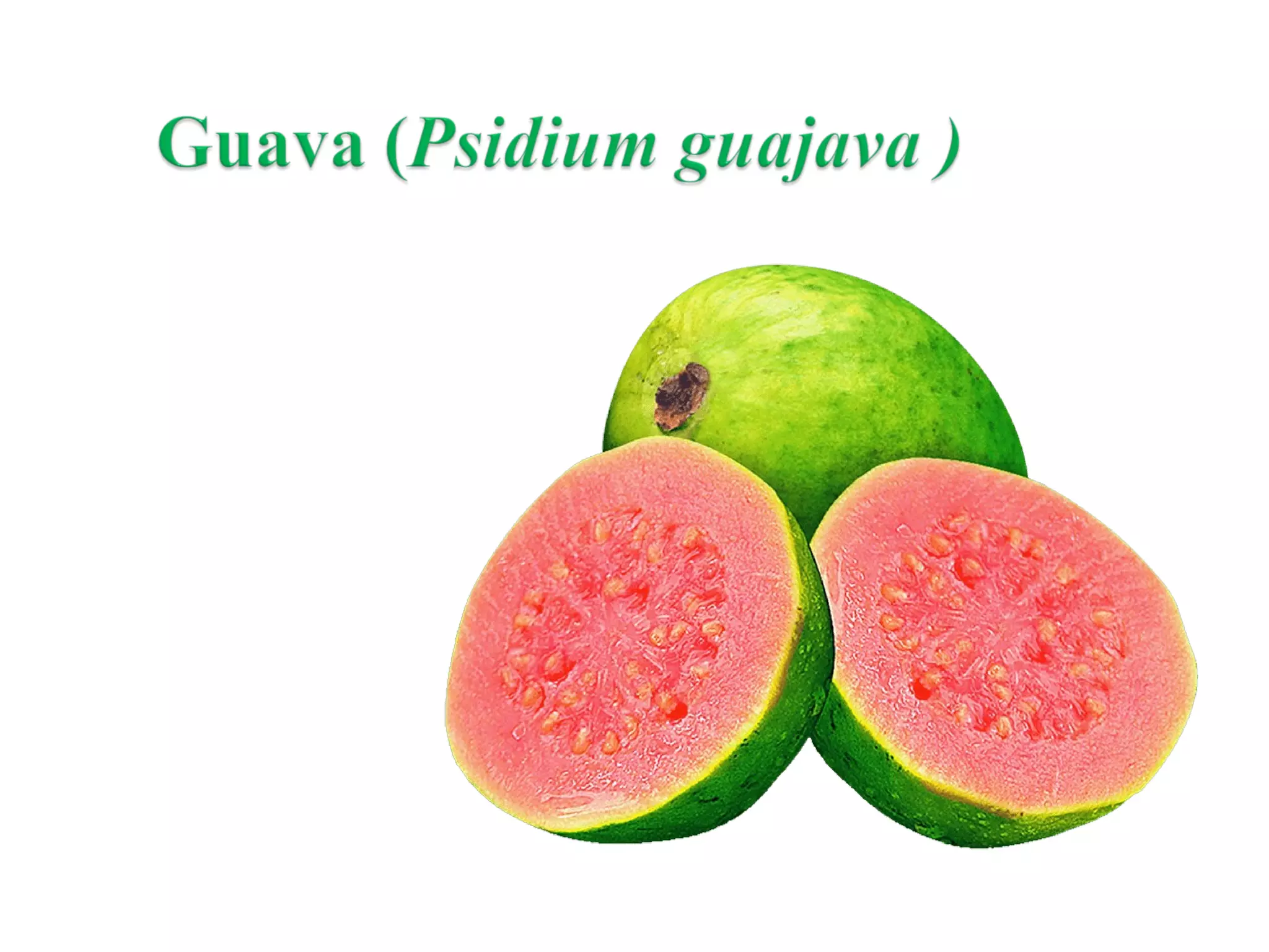 Guava production technology | PPT | Agriculture | Industries