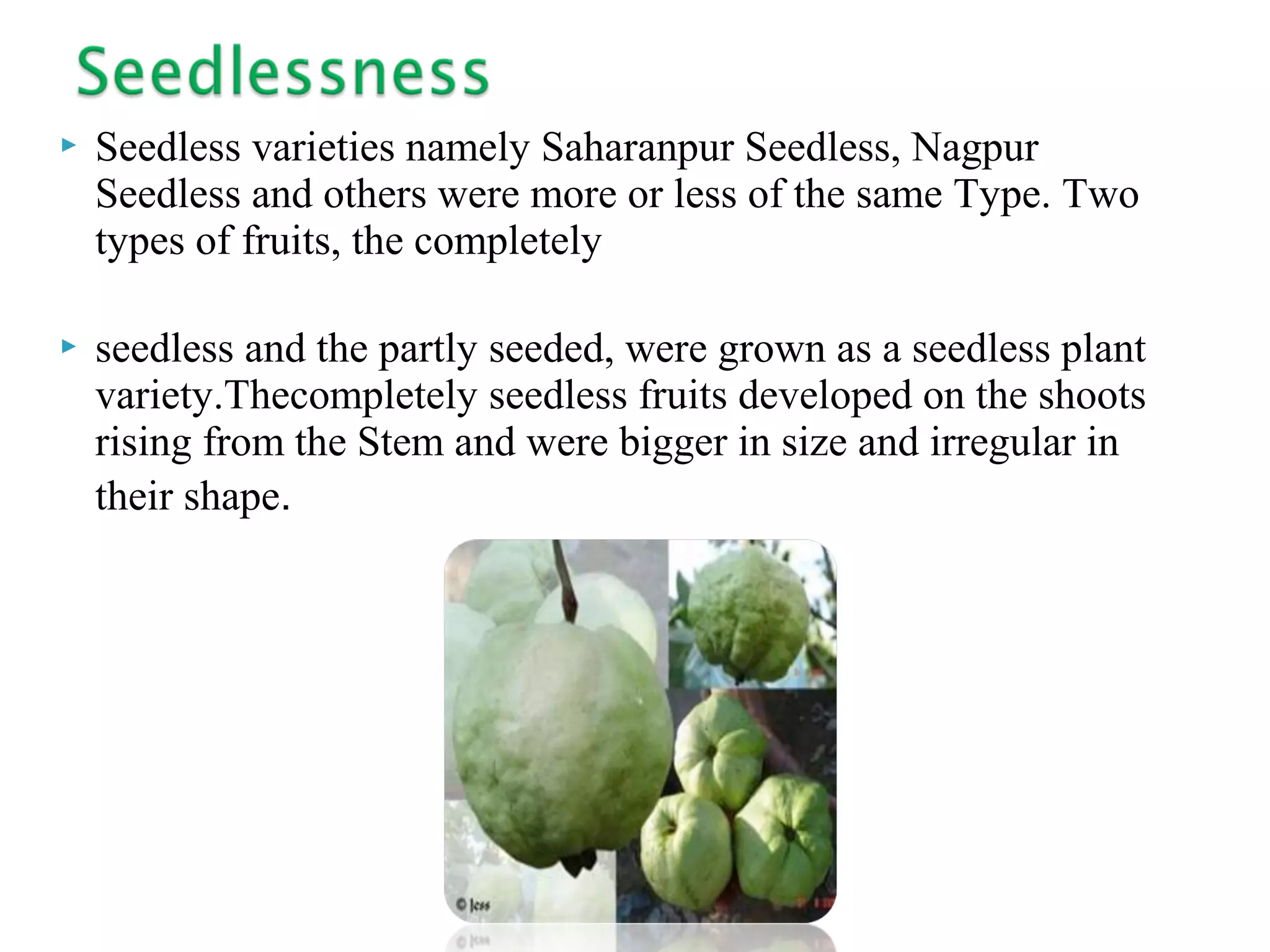 Guava production technology | PPT