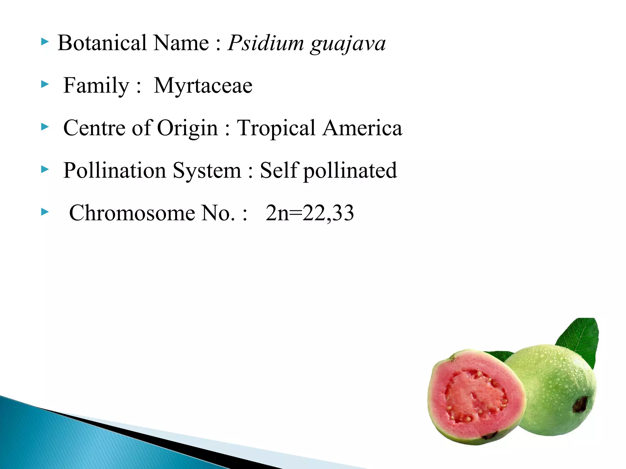 Guava production technology | PPT