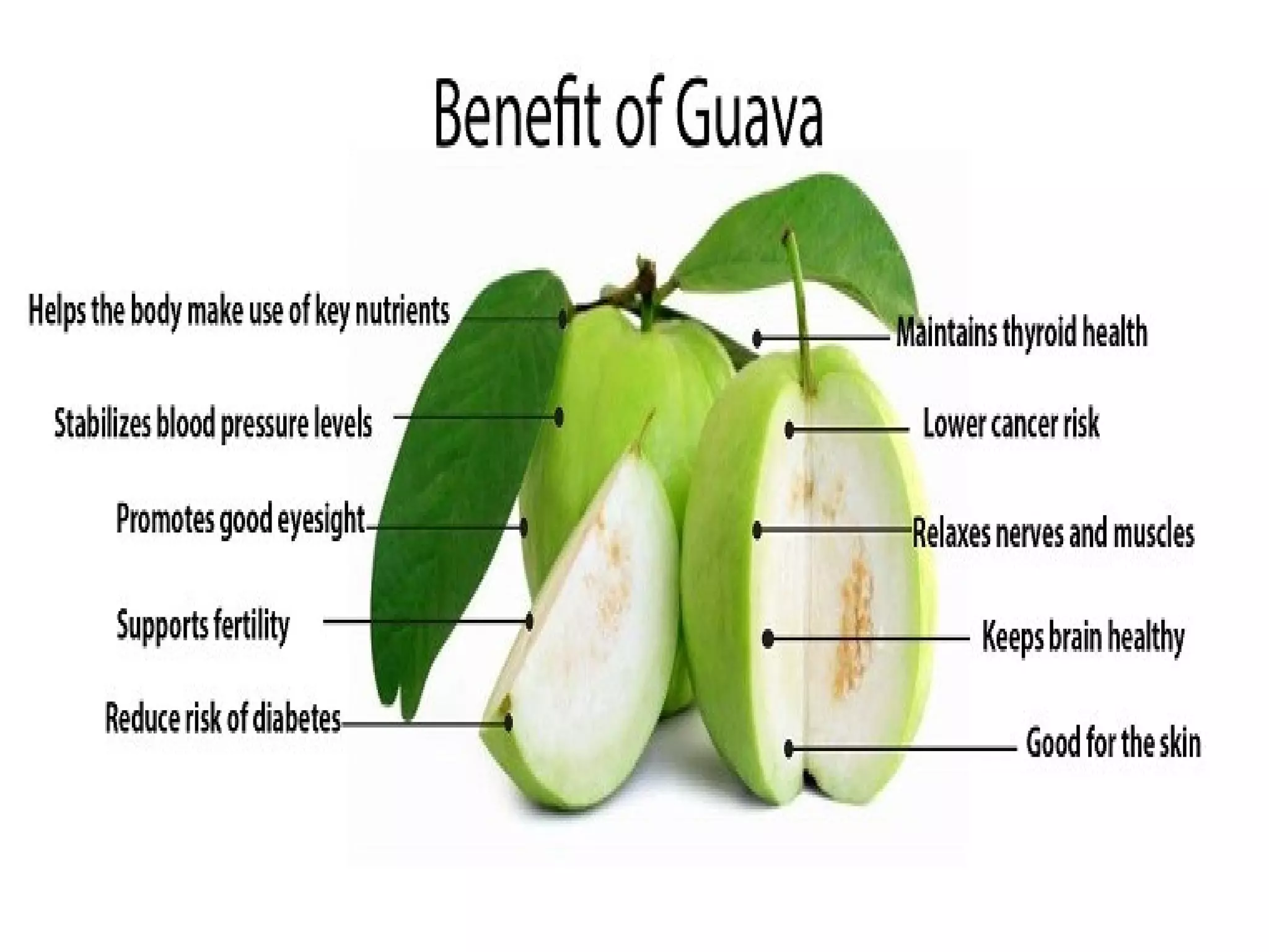Guava production technology | PPT