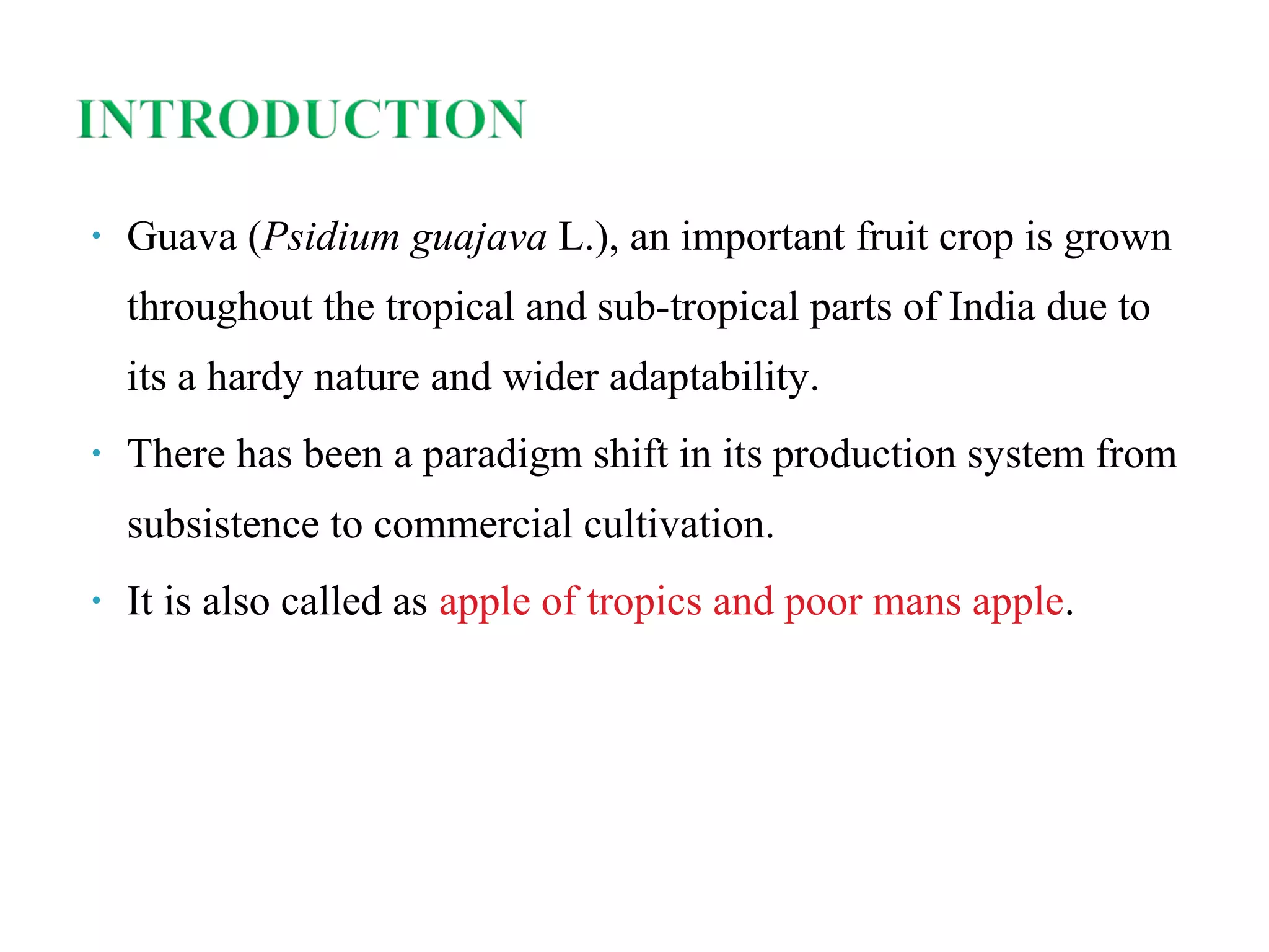 Guava production technology | PPT | Agriculture | Industries