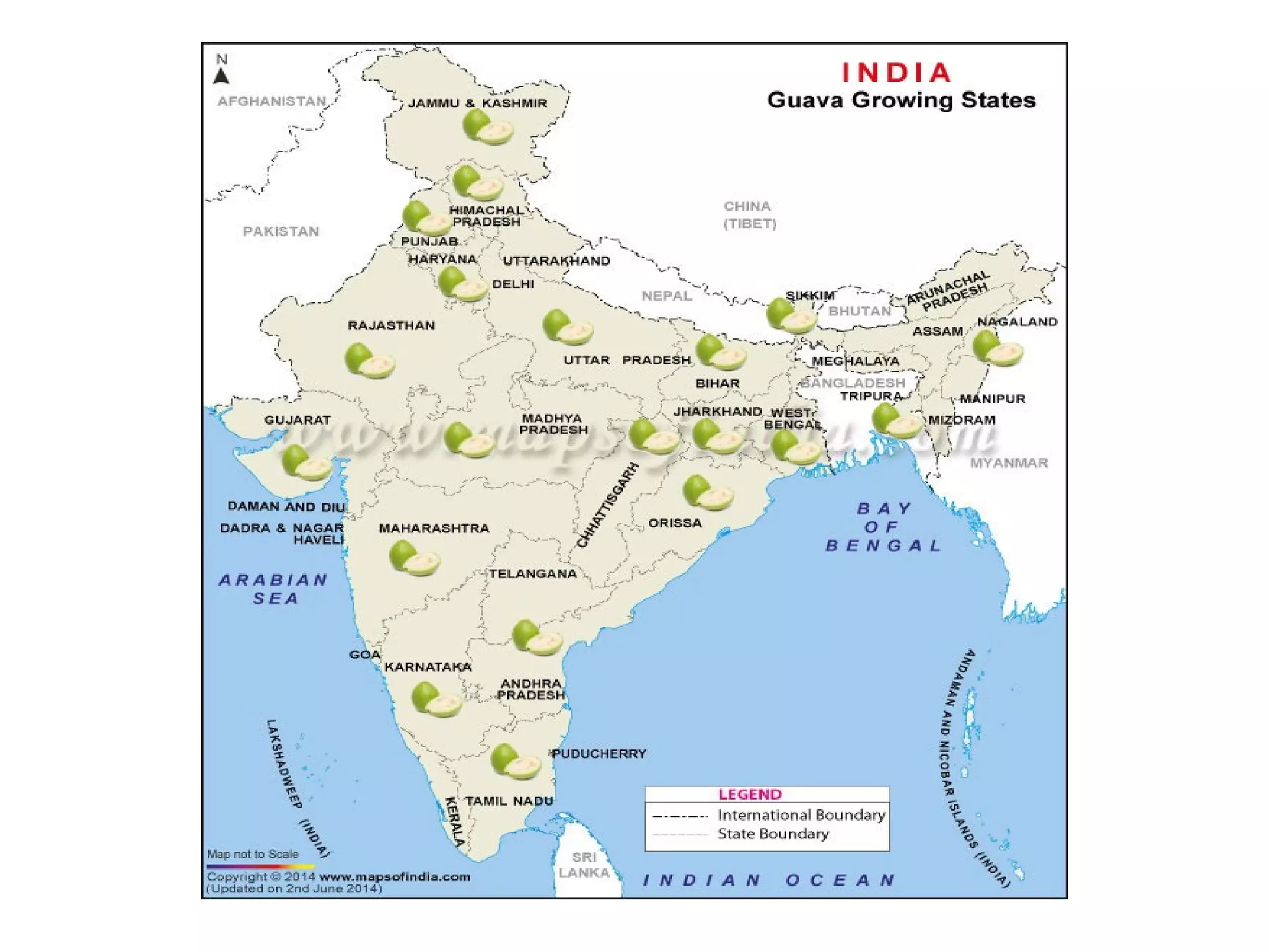 Guava production technology | PPT