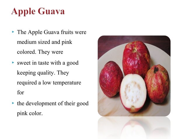 Guava production technology | PPT | Agriculture | Industries