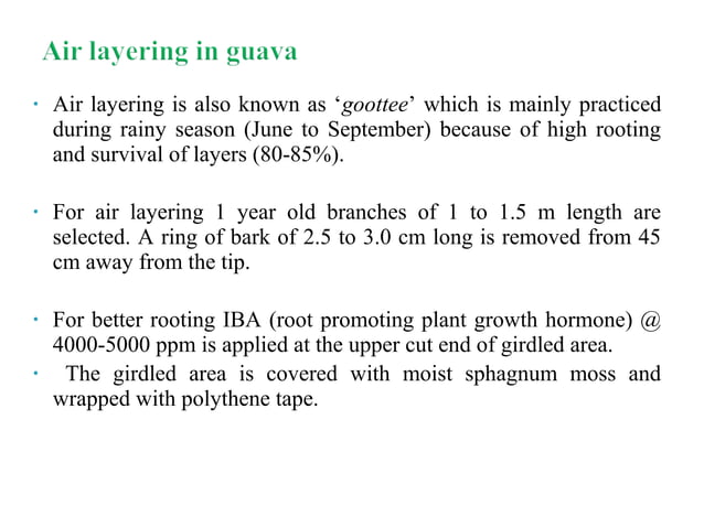 Guava production technology | PPT | Agriculture | Industries