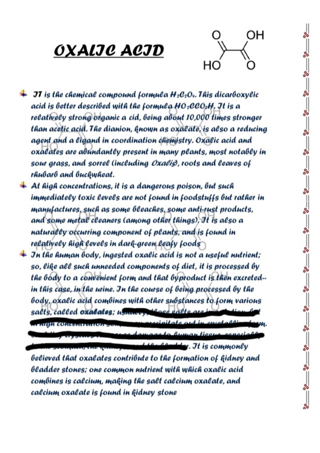 AJAY KUMAR NIET GreNo Guava Project File.pdf AJAY KUMAR NIET GreNo Guava Project File.pdf
