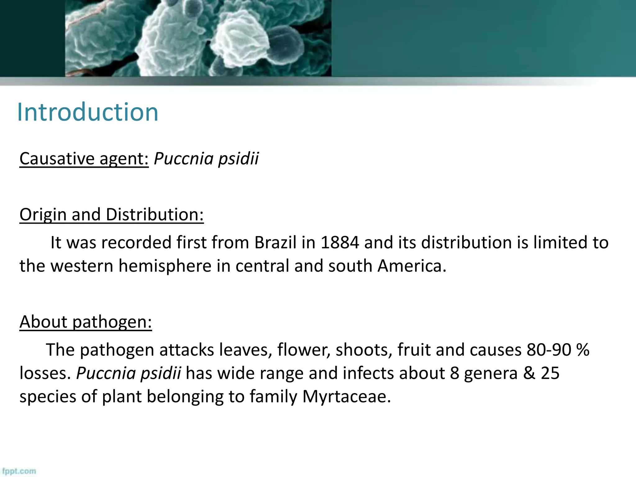 A Brief about Guava rust | PPTX