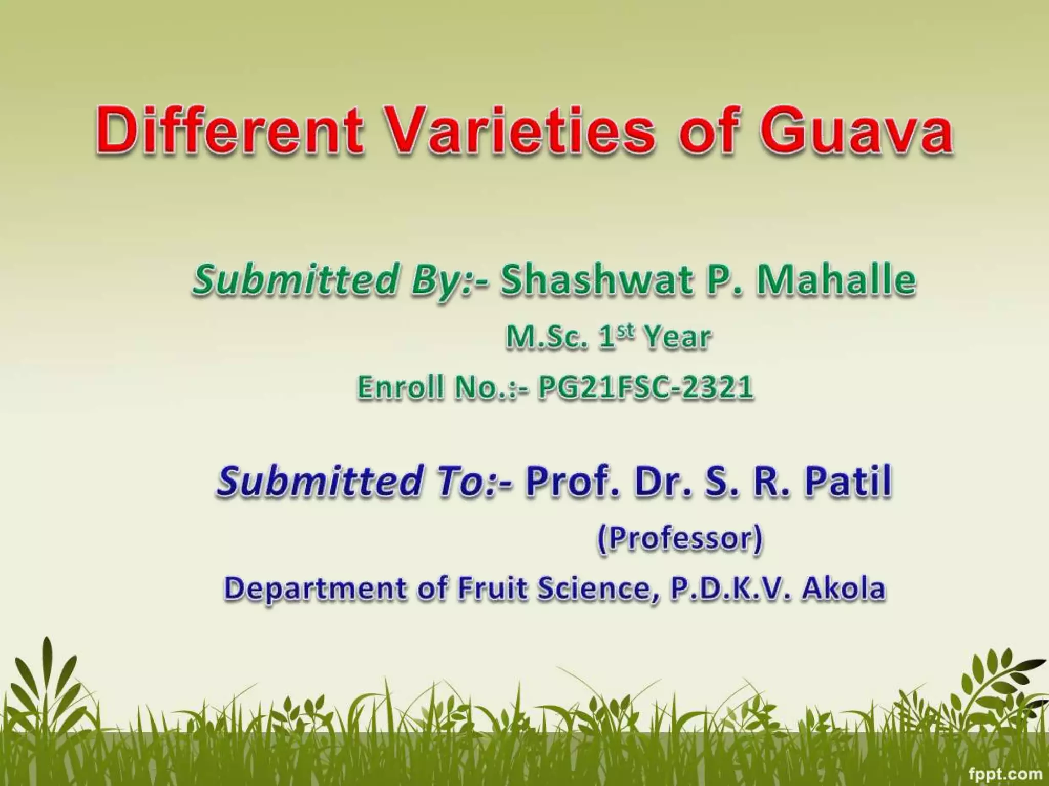 Guava Varieties.pptx