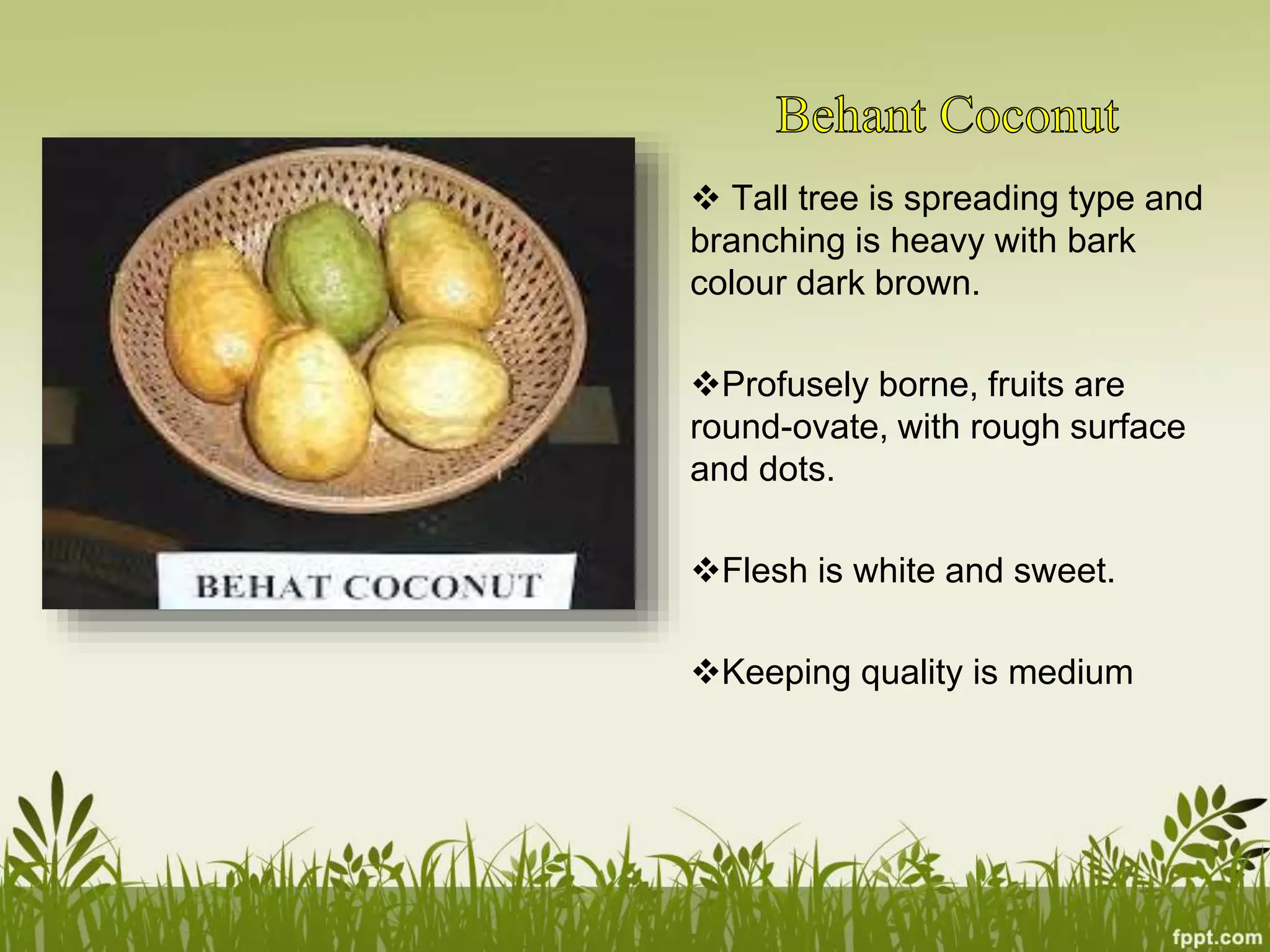 Guava Varieties.pptx