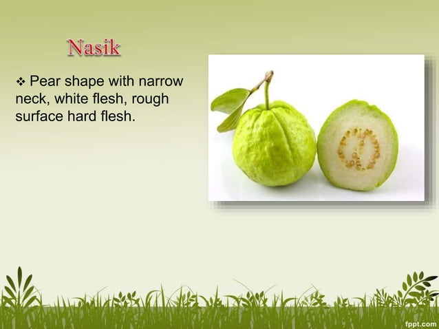 Guava Varieties.pptx | Agriculture | Industries