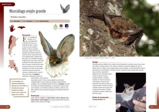 Guía vertebrados | PDF