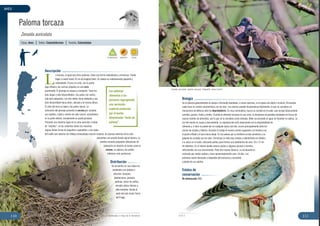 Guía vertebrados | PDF
