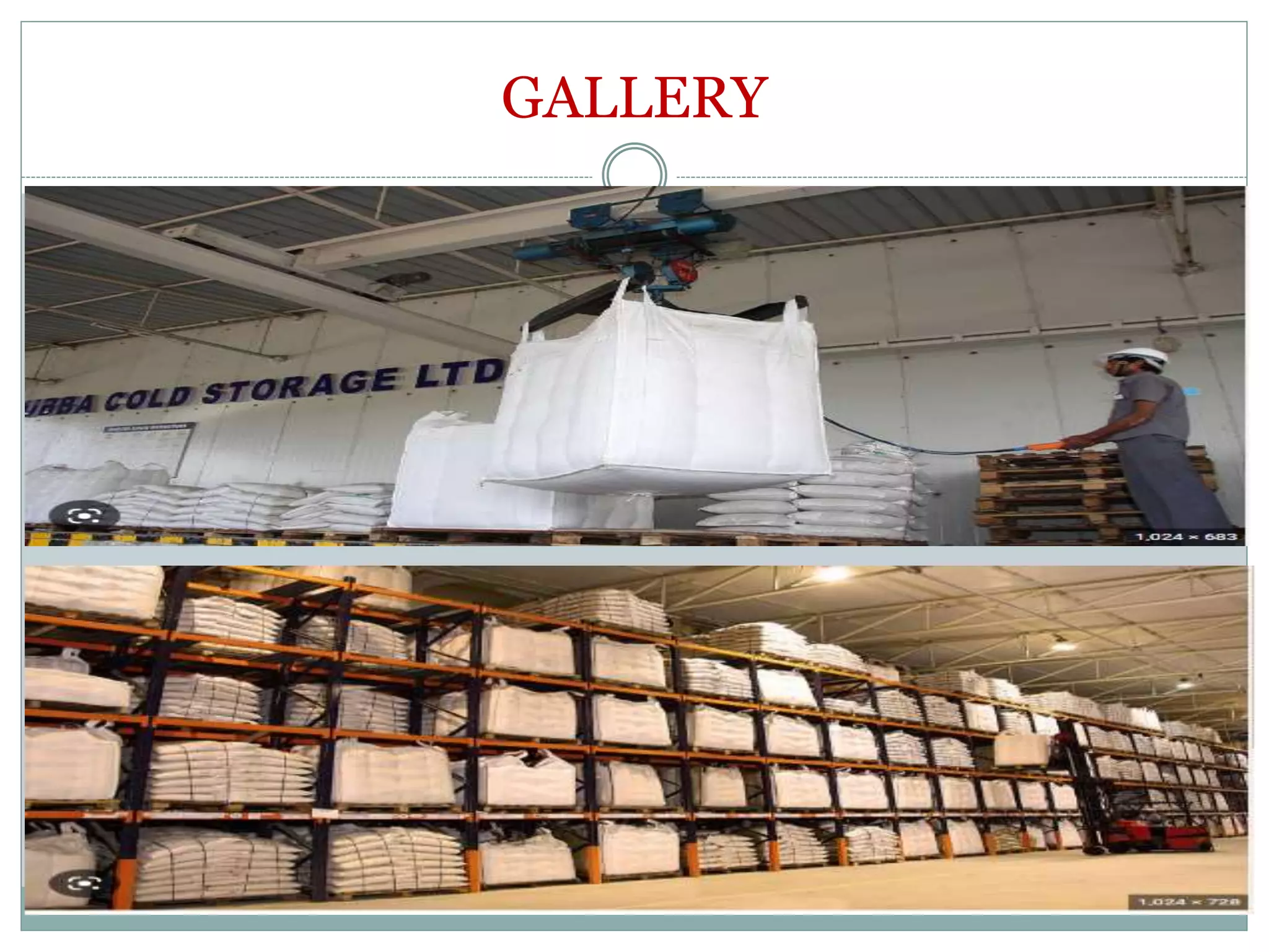 Gubba Cold Storage Pvt Ltd.pptx | Biological Sciences | Science