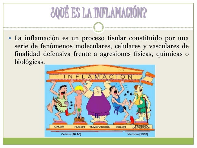 Pasos En El Proceso De La Inflamacin Inmunologia