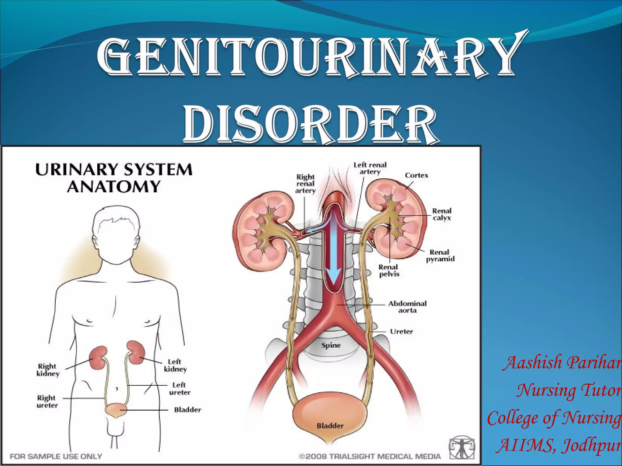 genitourinary disorders (medical surgical nursing) | PPT | Digestive ...