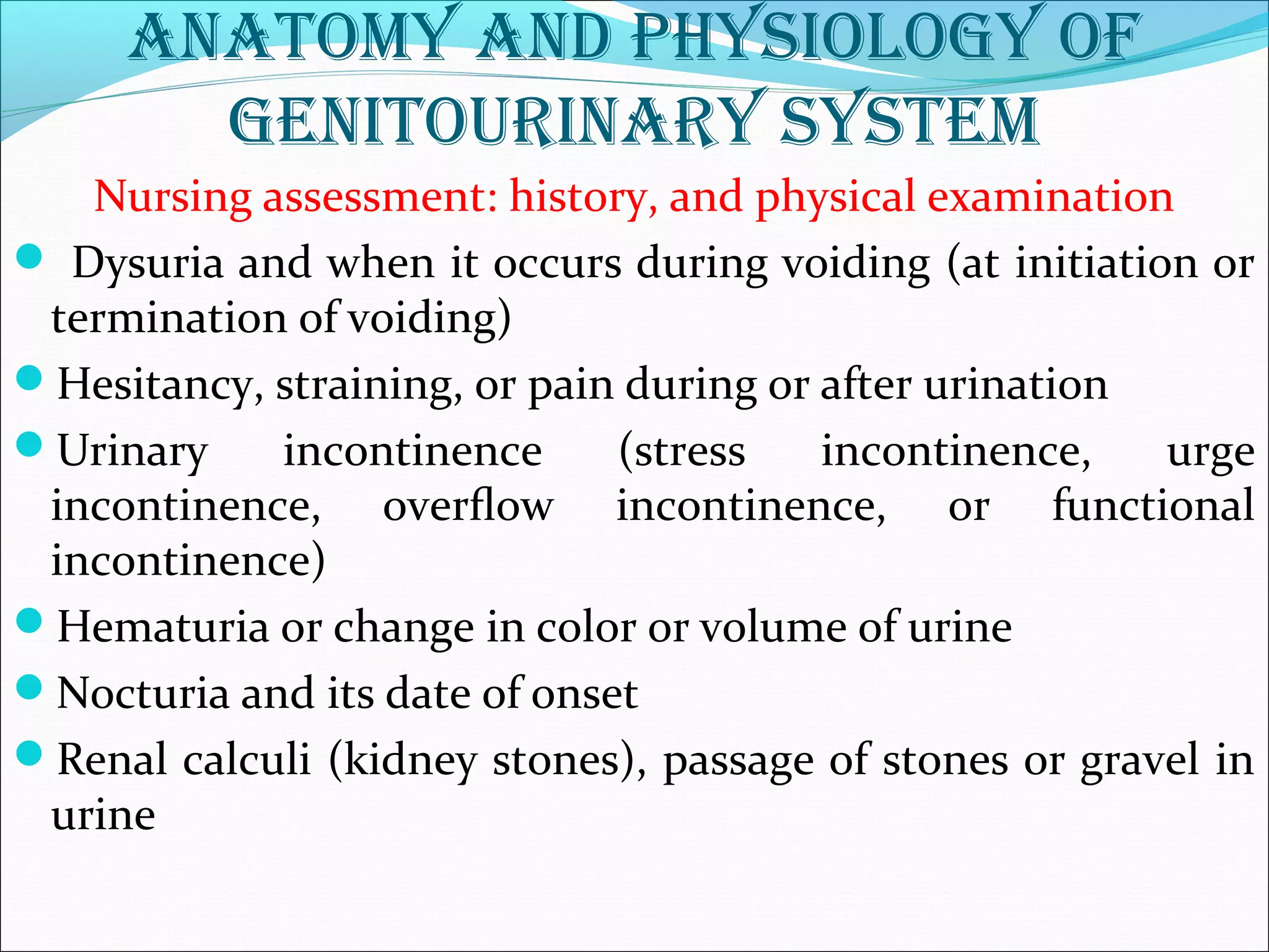 genitourinary disorders (medical surgical nursing) | PPT | Digestive ...