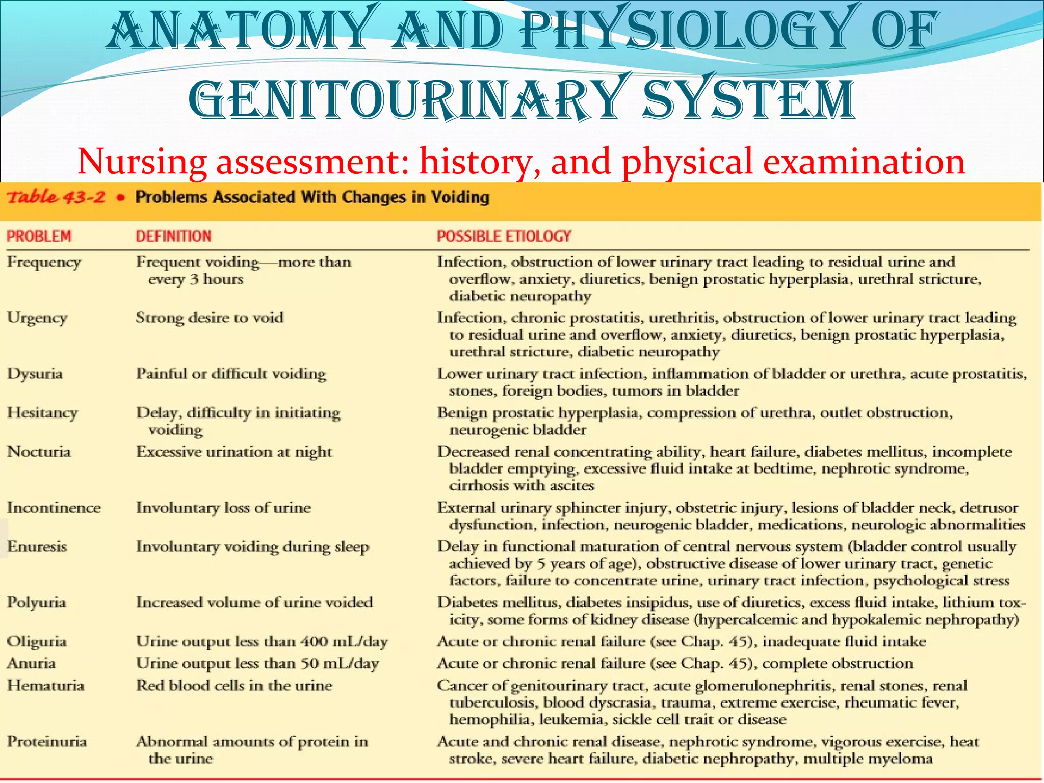 genitourinary disorders (medical surgical nursing) | PPT | Digestive ...
