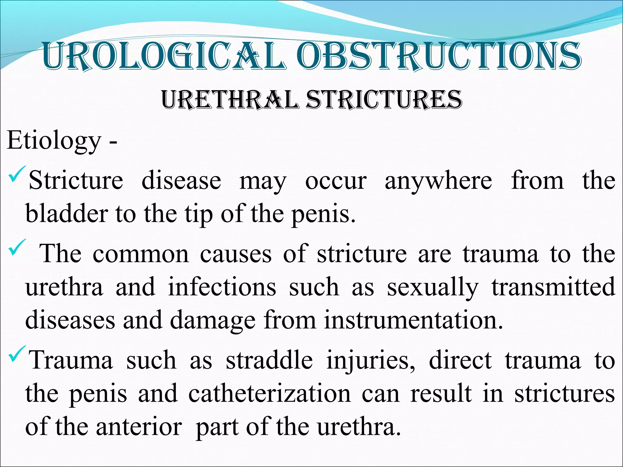 genitourinary disorders (medical surgical nursing) | PPT | Digestive ...