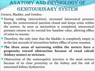 genitourinary disorders (medical surgical nursing) | PPT