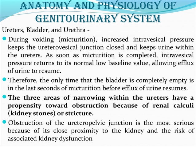 genitourinary disorders (medical surgical nursing) | PPT | Digestive ...
