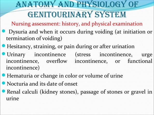 genitourinary disorders (medical surgical nursing) | PPT | Digestive ...
