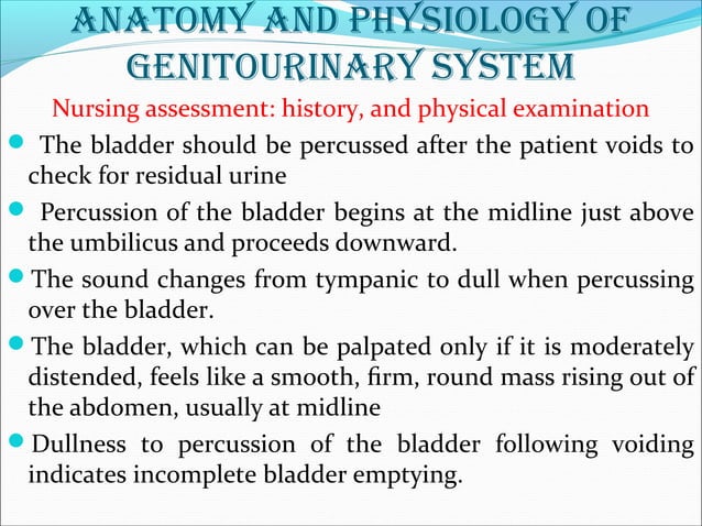 genitourinary disorders (medical surgical nursing) | PPT | Digestive ...