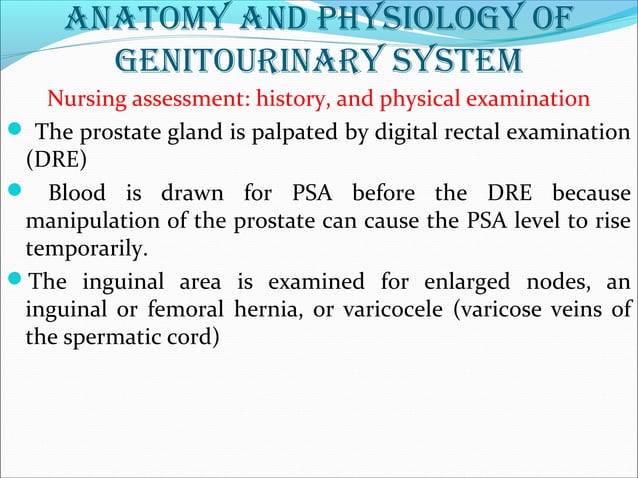 genitourinary disorders (medical surgical nursing) | PPT | Digestive ...