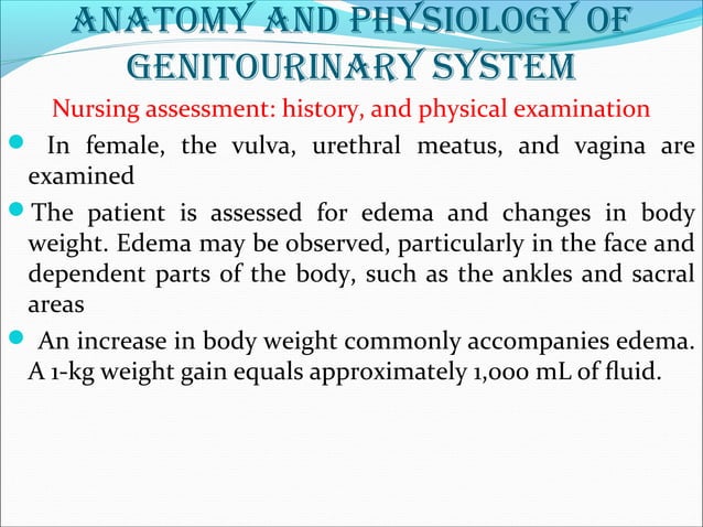 genitourinary disorders (medical surgical nursing) | PPT | Digestive ...