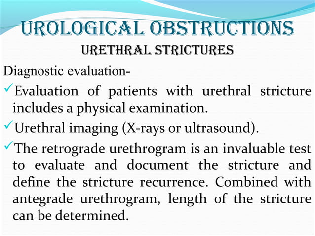 genitourinary disorders (medical surgical nursing) | PPT | Digestive ...