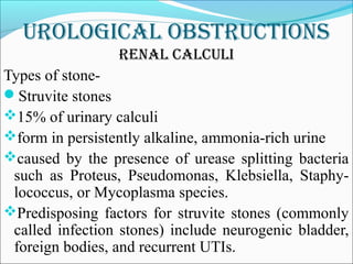 genitourinary disorders (medical surgical nursing) | PPT