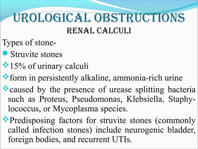 genitourinary disorders (medical surgical nursing) | PPT | Digestive ...