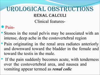 genitourinary disorders (medical surgical nursing) | PPT