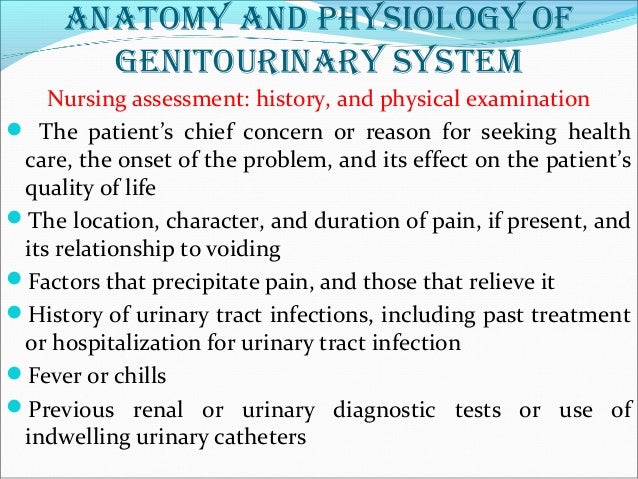 genitourinary disorders (medical surgical nursing)