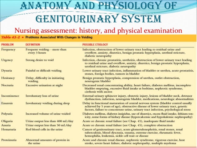 genitourinary disorders (medical surgical nursing)