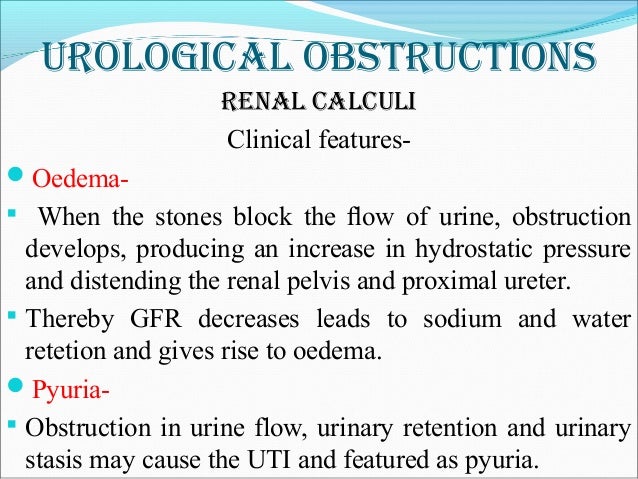 Genitourinary Disorders Medical Surgical Nursing